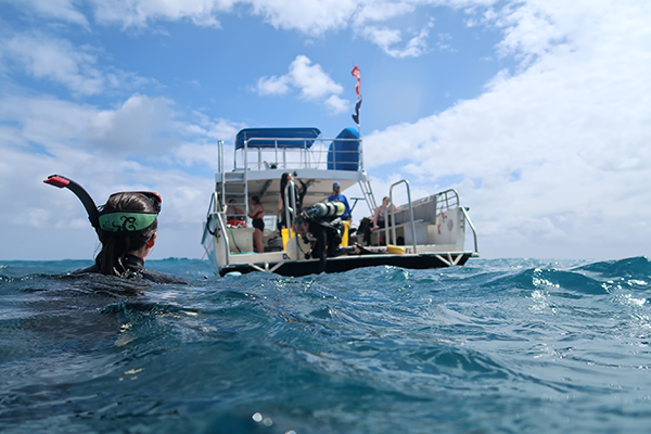 Photo Gallery | Rescue a Reef | University of Miami