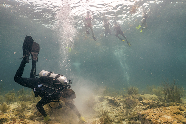 Photo Gallery | Rescue a Reef | University of Miami